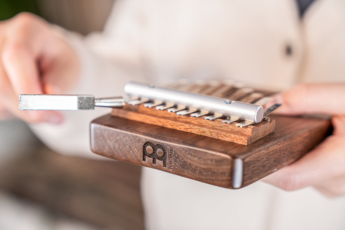 Meinl Sonic Energy Solid "Tree of Life" Kalimba - 10 notes / black wal ...